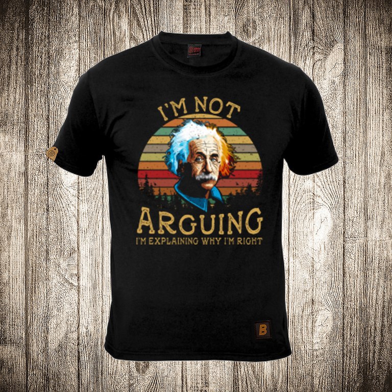 Albert Ajnštajn 6 – I am not arguing