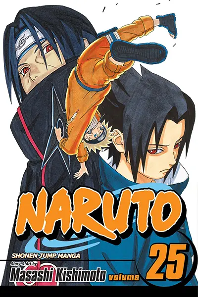 Naruto, Vol. 25: Brothers