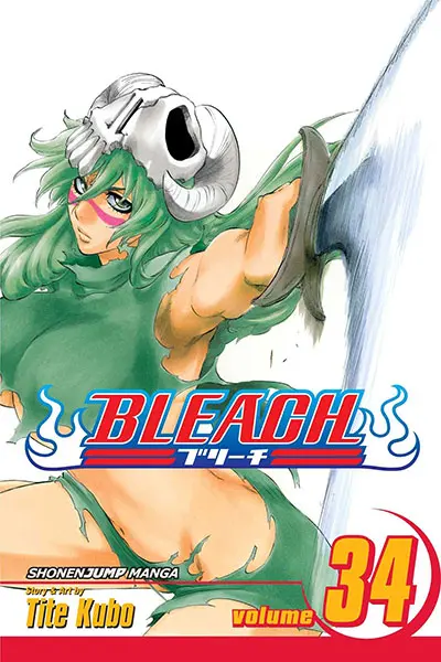 VIZ Media Bleach, Vol. 34