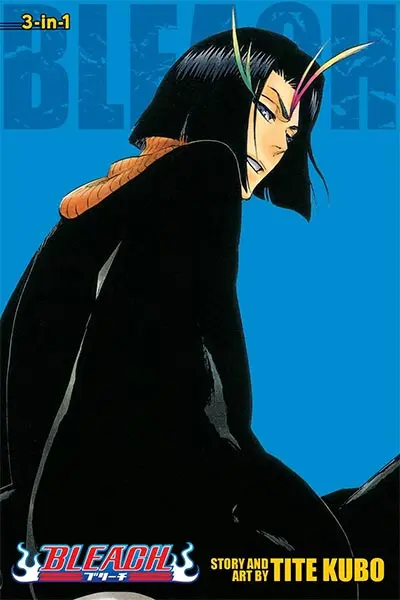 Bleach 3-In-1 Edition, Vol. 13