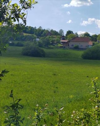 Zlatibor