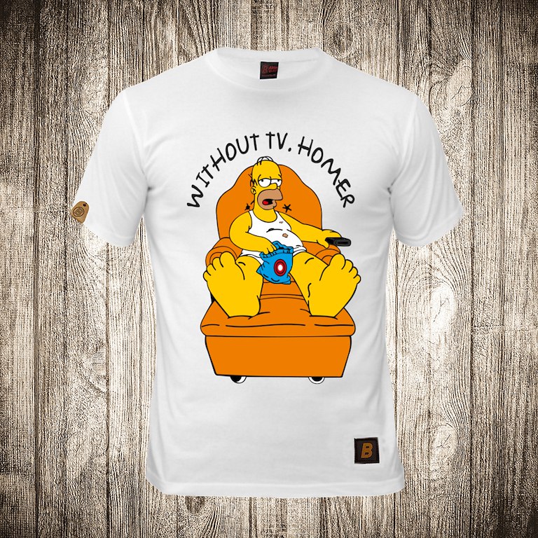 Homer ( Simpsonovi ) 10 – without TV Homer