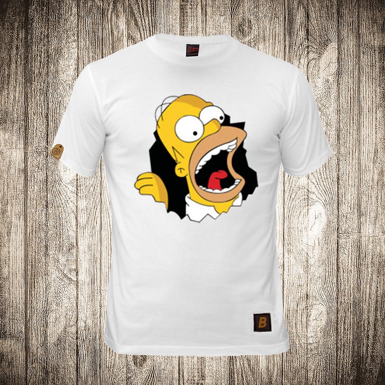 Homer Simpson 1