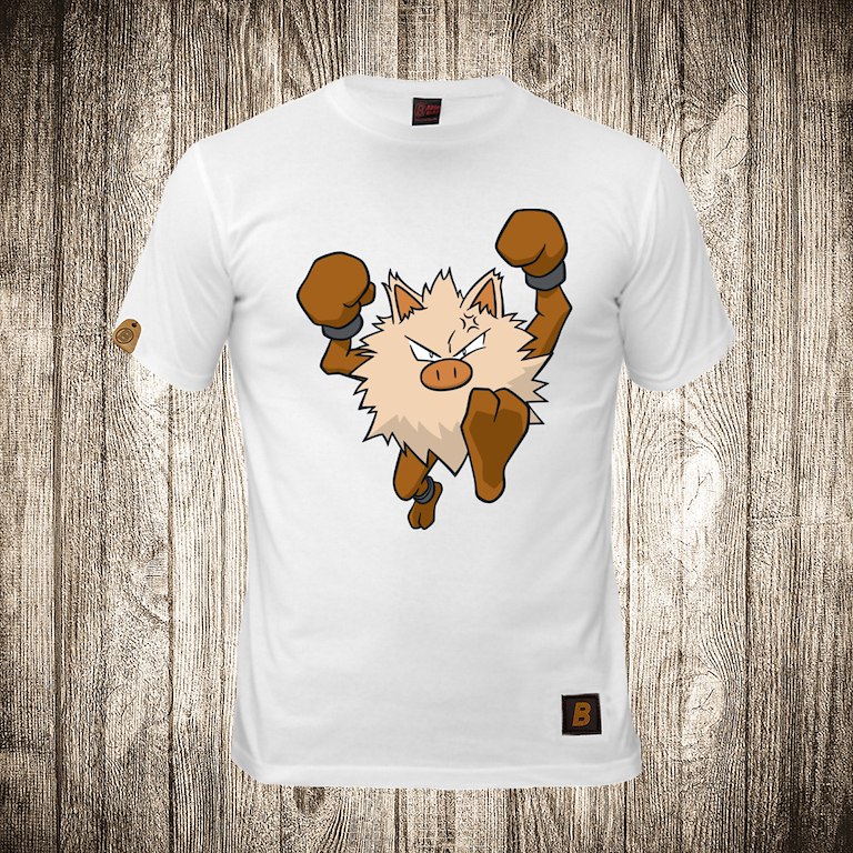 Mancoon 2 ( Pokemon )