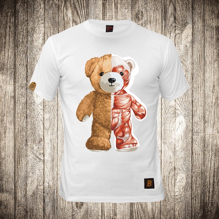 Meda Teddy Bear 105 Anatomija ( Anatomy )