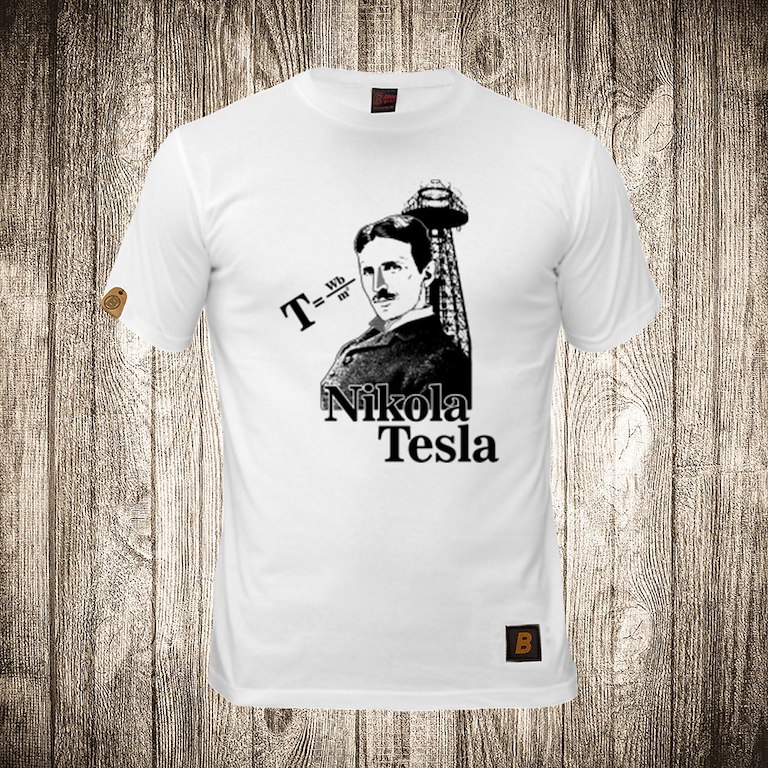 Nikola Tesla 3