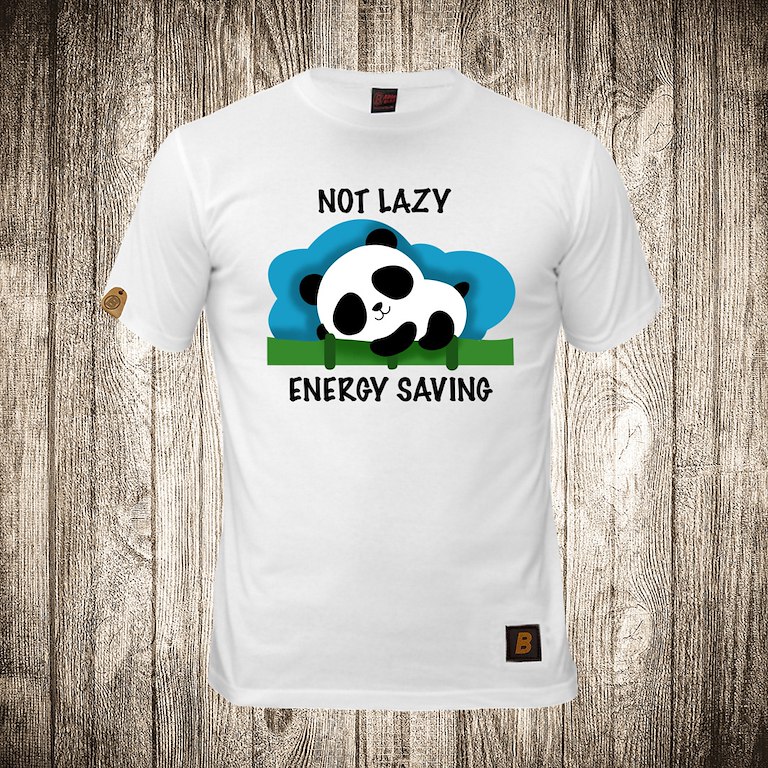 Not lazy, energy saving (Panda)