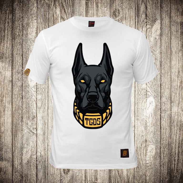 Pas doberman 2