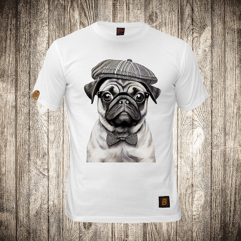 Pug hipster ( Pas ) sa naočarima i šeširom