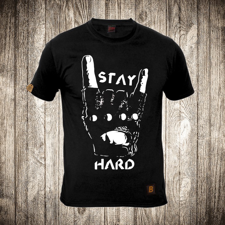 Rock and roll ( Stay hard )