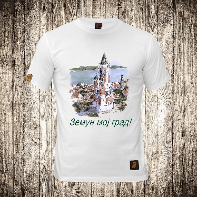 Zemun moj grad