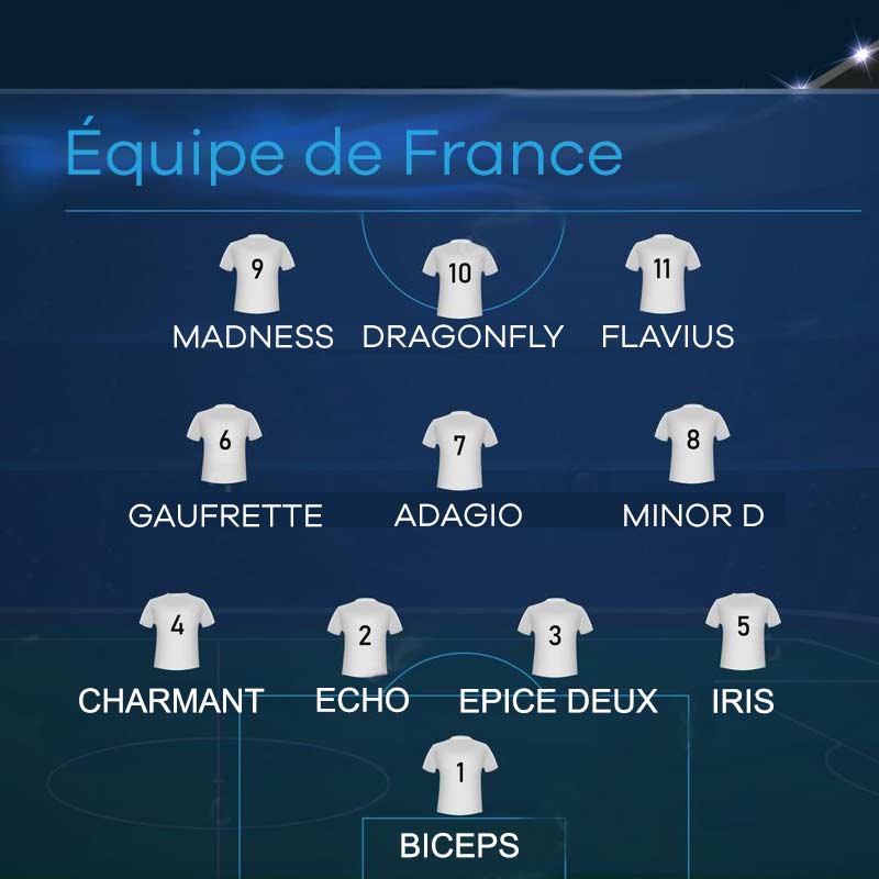 Équipe de France 11