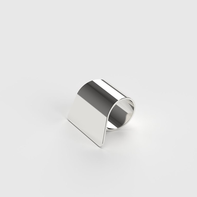 DEBRIS RING (ONE SIZE)