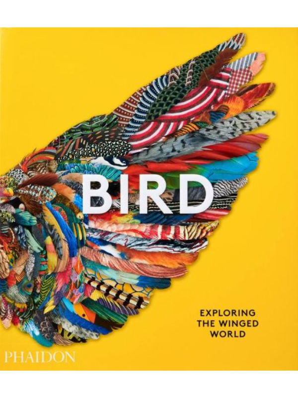 Bird: Exploring the Winged World