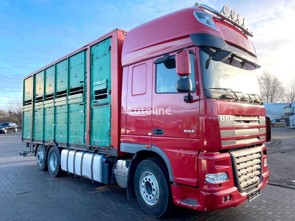 DAF XF 105.460 2-Stock Finkl Viehaufbau / Lenkachs kamion za prevoz stoke