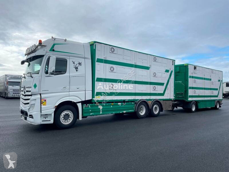 Mercedes-Benz Actros 2563 kamion za prevoz stoke + prikolica za prevoz stoke