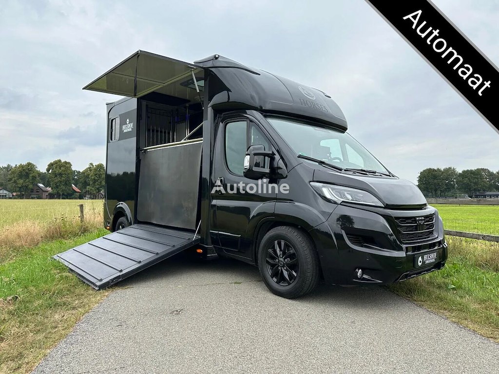 FIAT Ducato 2-paards paardenvrachtwagen automaat B-rijbewijs vozilo za prevoz konja