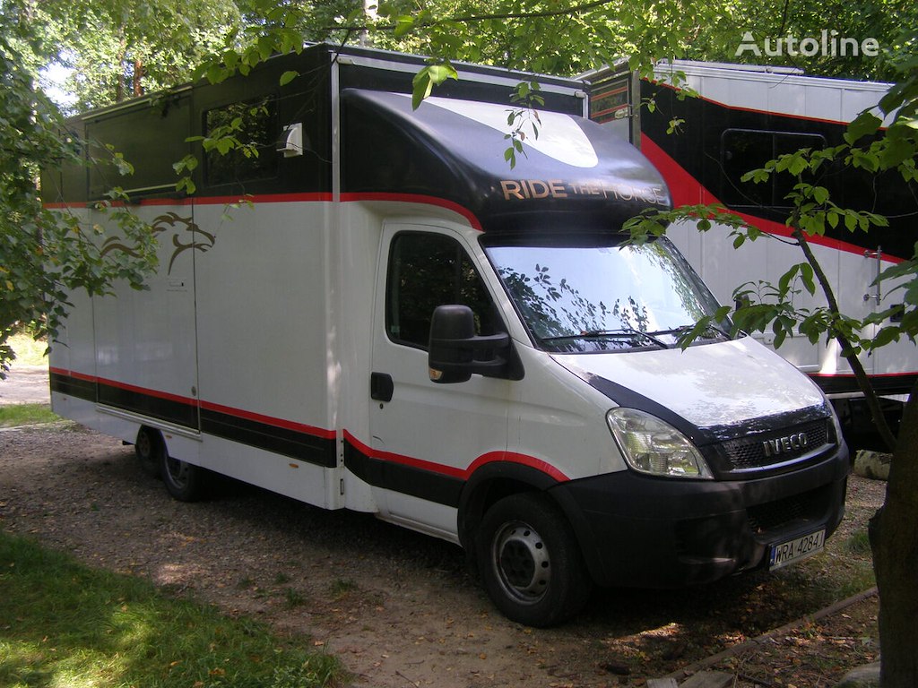 IVECO DAILY vozilo za prevoz konja