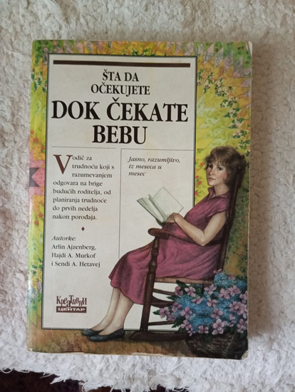 Knjiga Dok cekate bebu