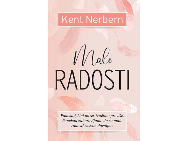 Male radosti - Kent Nerbern