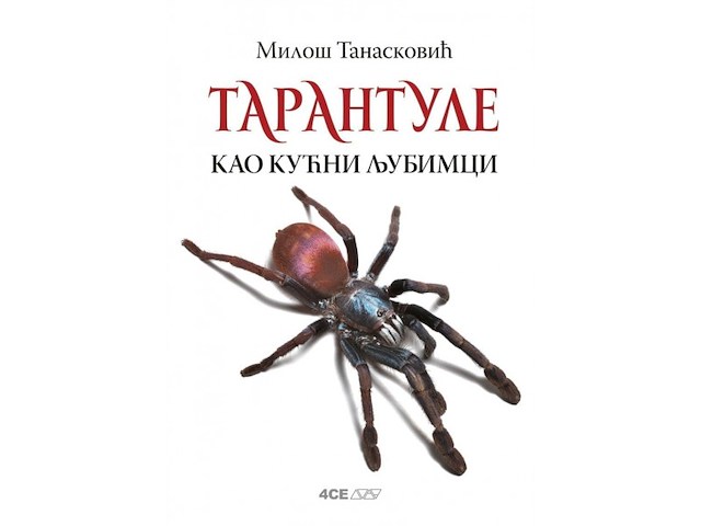 Tarantule kao kućni ljubimci