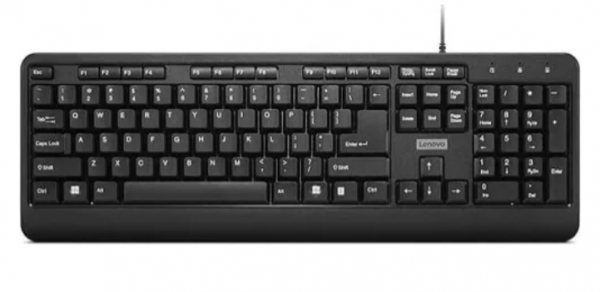 LENOVO Tastatura 160 žična/GY41L68463/US/crna