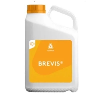 Brevis 5L