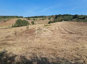 Prodaja Građevinsko zemljište - Grocka, Vrčin