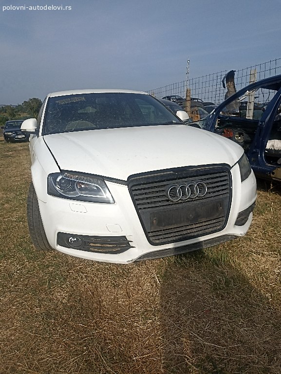 AUDI A3 8P HAUBE KRILA VRATA