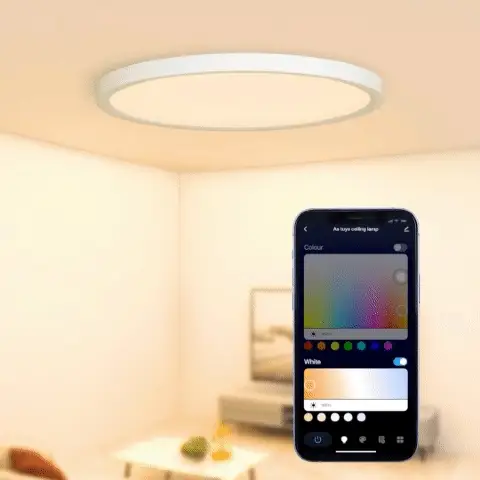 Pametna WiFi LED Plafonska Lampa