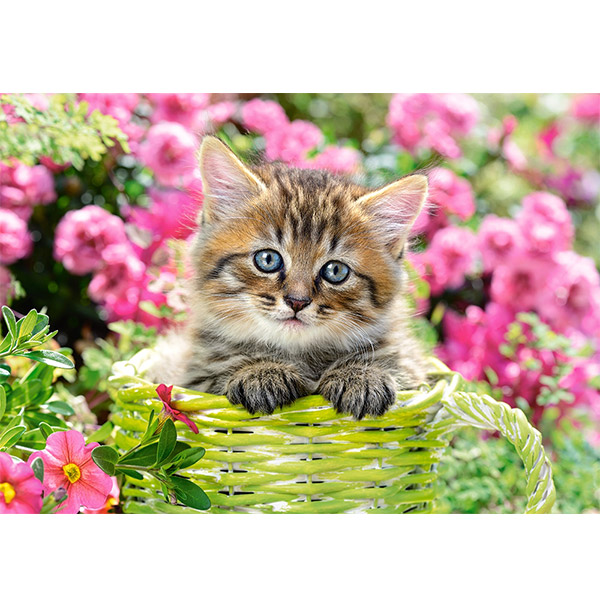 Castorland puzzla 500 Pcs Kitten in Flower Garden 52974