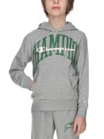 College hoody