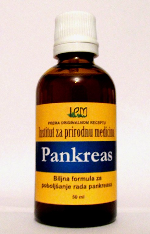 Pankreas