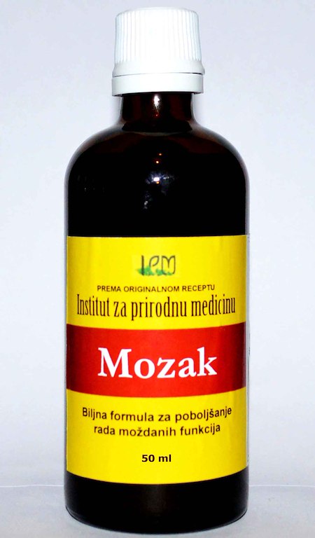 Mozak