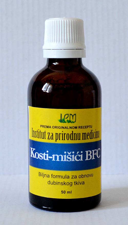 Kosti-mišići BFC