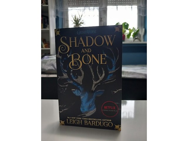 Shadow and bone – Leigh Bardugo