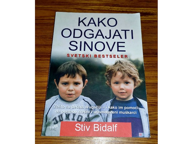 KAKO ODGAJATI SINOVE - Stiv Bidalf