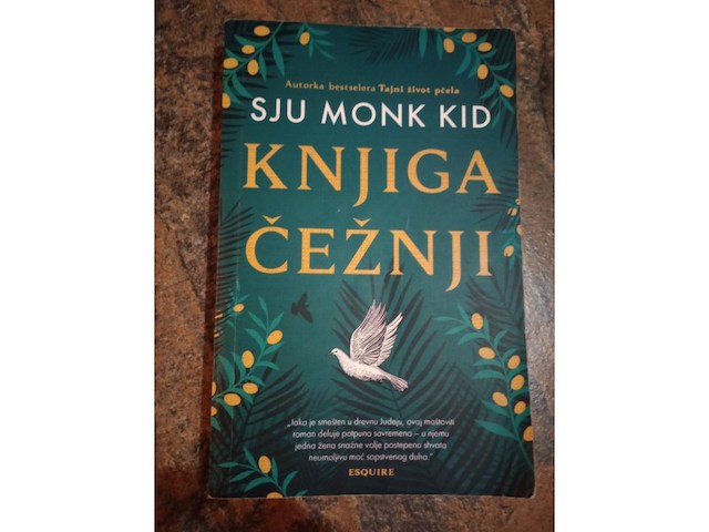 Sju Monk Kod - Knjiga čežnji