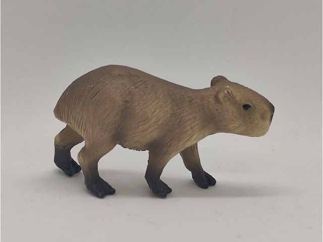 Eikoh Capybara, raritet