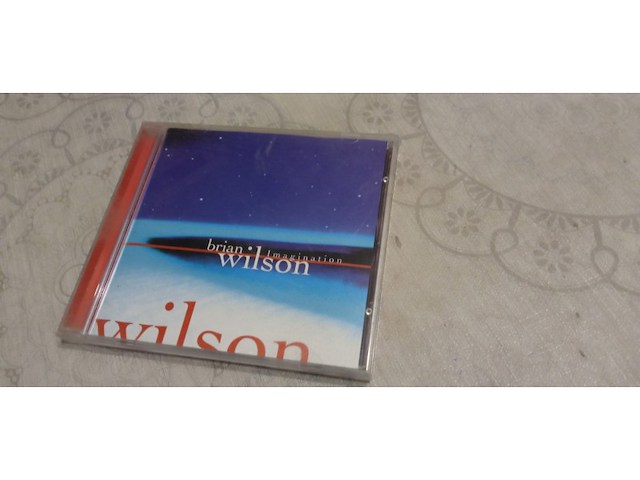 Brian Wilson – Imagination