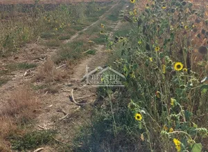 Prodaja Građevinsko zemljište - Surčin, Surčin