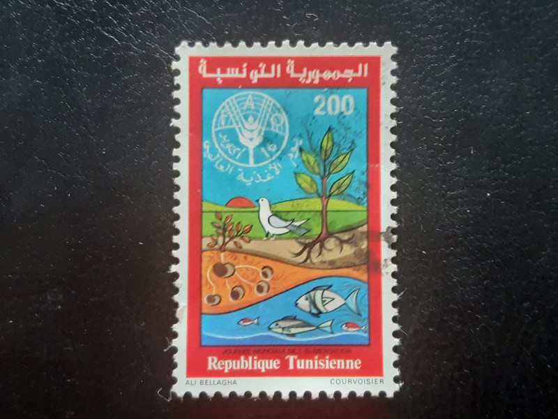 TUNISIENNE 1981