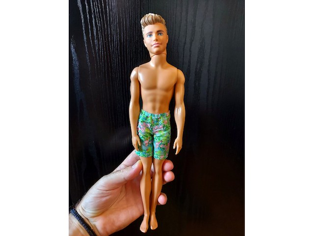 Barbie Ken u kupacem Šorc Mattel 2015 god.