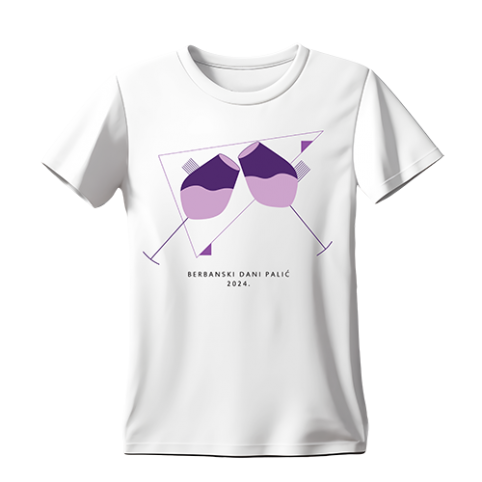GEOMETRIJA - BERBANSKI DANI (CS4063)