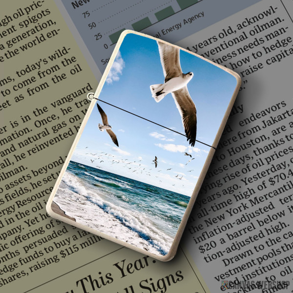 Upaljač Seagull