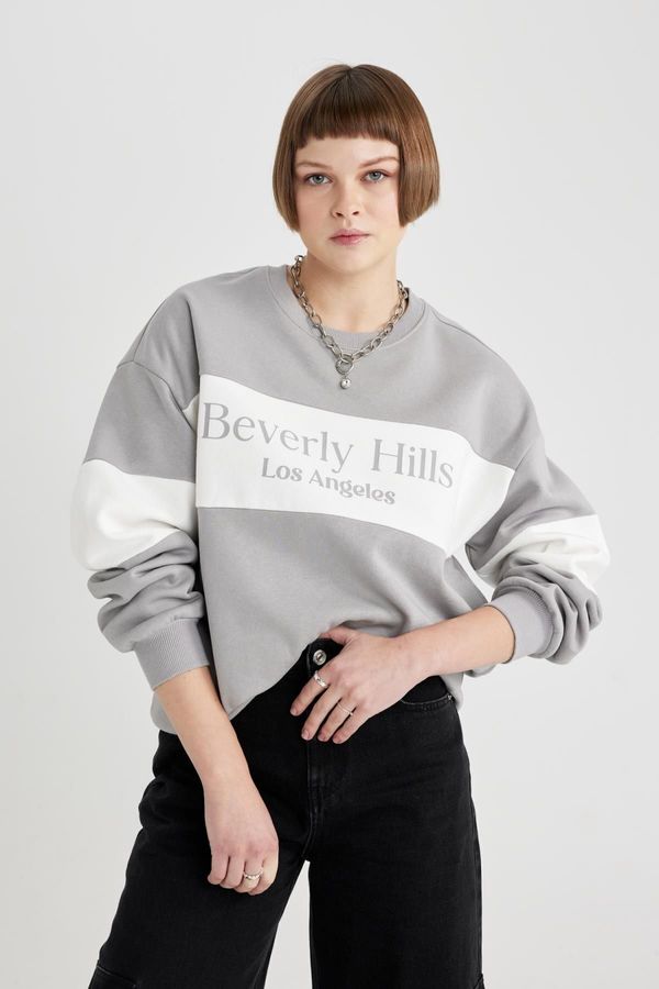 DEFACTO RELAX FIT CREW NECK PRINTED THICK SWEATSHIRT