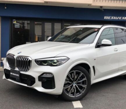 BMW X5 krosover