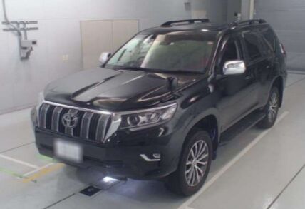 Toyota LAND CRUISER PRADO terenac