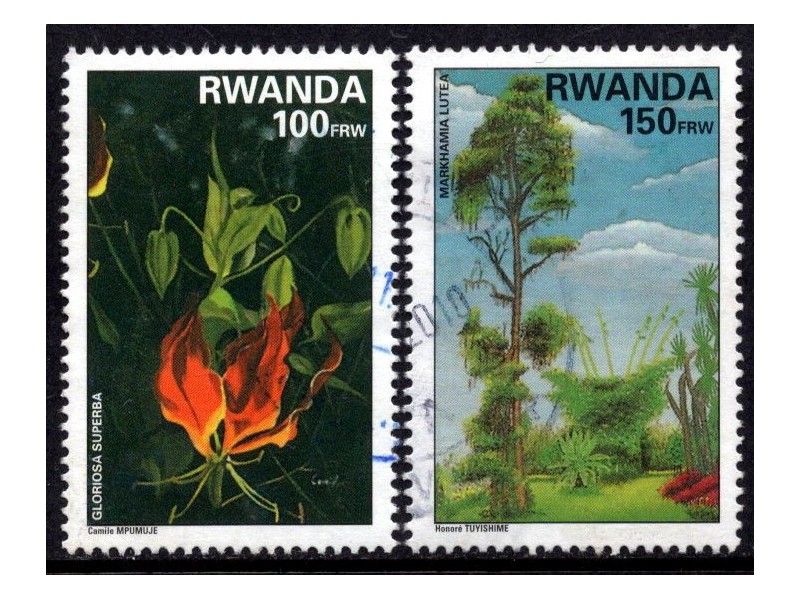 Ruanda 1995. Flora