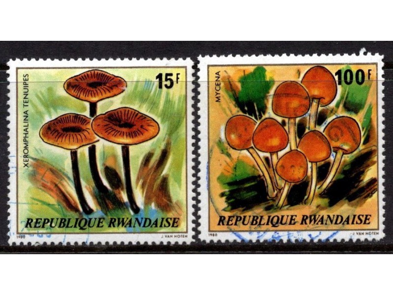 Ruanda 1980. Flora, Gljive